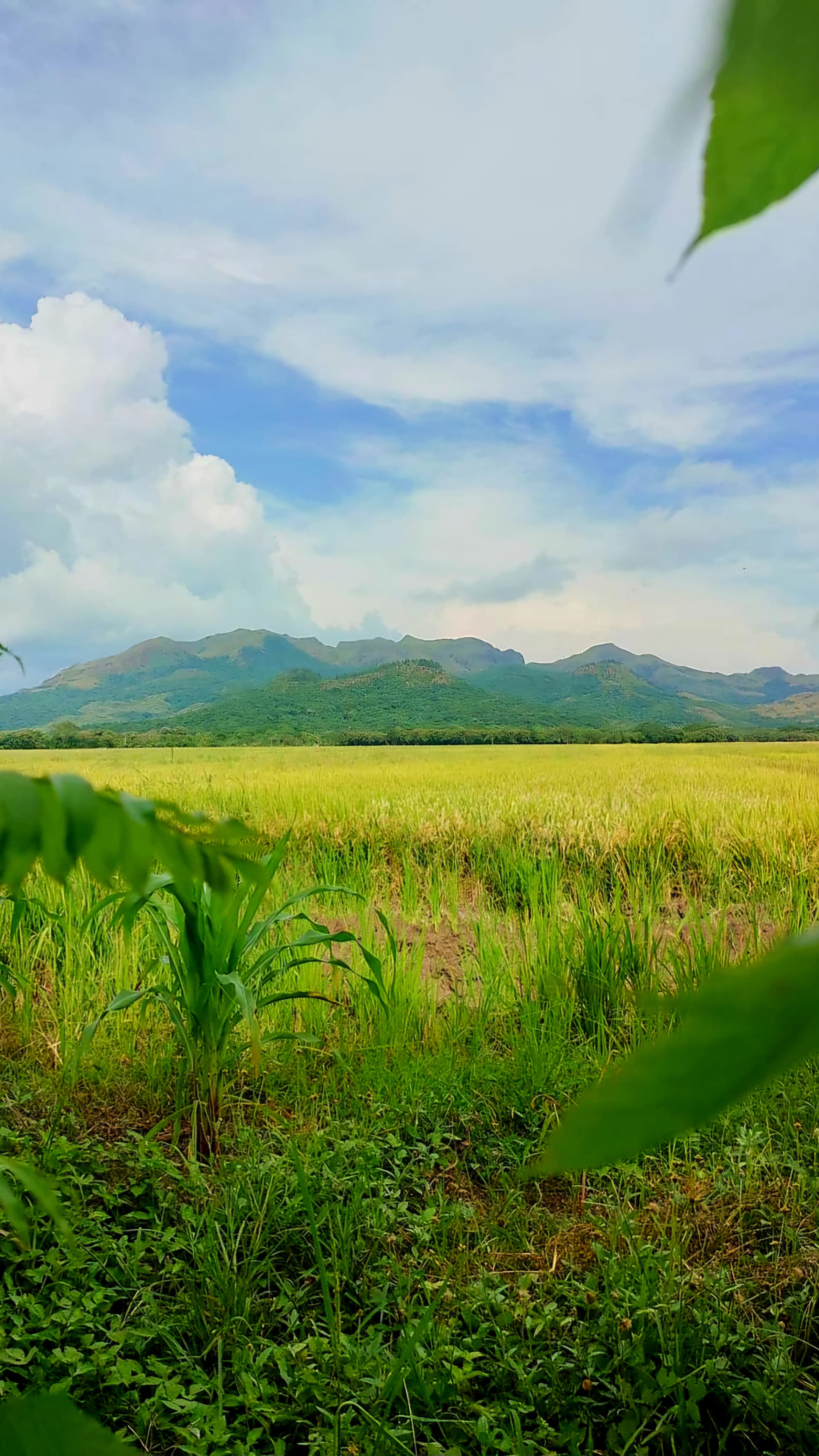Cerro Chame: El Mirador Natural de la Rivera Pacífica - Discover Chame